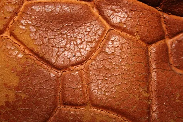 What Is A Leather Patina And How Is It Made? - Maze Leather